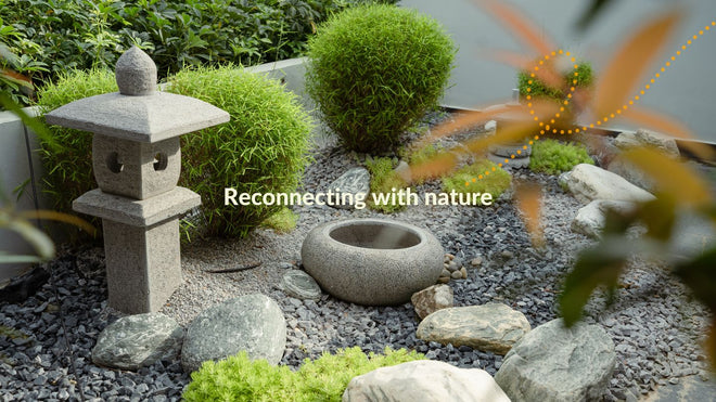 Abuzz Landscape - Your Awesome Horticulture Specialist